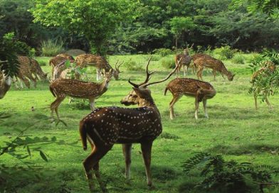 PSE Community.org – The World Community for Chemical Process Systems Engineering Education and ...